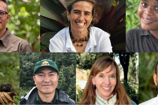 News - The Rufford Foundation