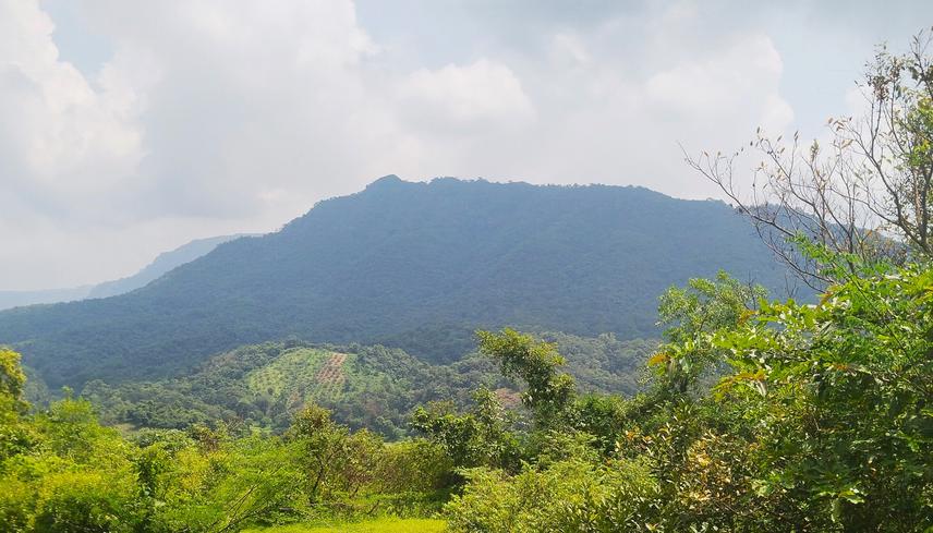 Shalmali Sawant - Assessing the Potential of Private and Community ...