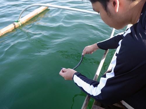 Vhon Oliver S. Garcia - Biology and Conservation Ecology of the Endemic ...