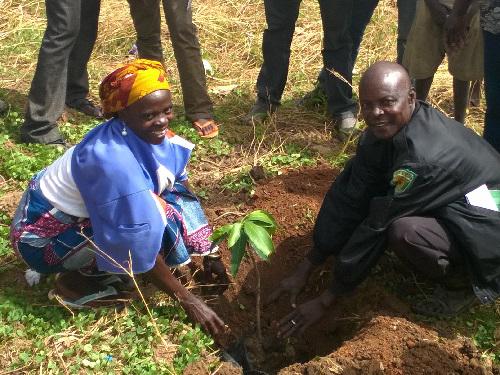 Talitha Tukura Pam - The Mushere Forest Conservation Project - The ...