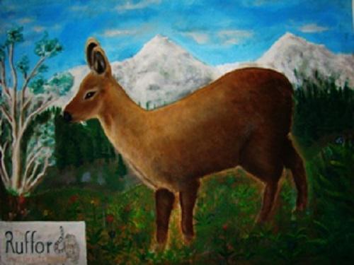 Baseer ud din Qureshi - Conservation of Himalayan Musk Deer in and ...