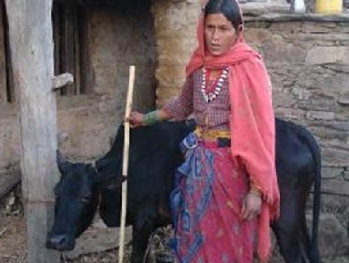 Surendra Wagle - Institutional Strengthening and Awareness Raising for ...