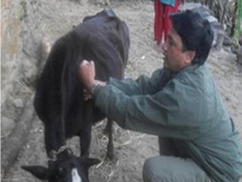 Surendra Wagle - Institutional Strengthening and Awareness Raising for ...