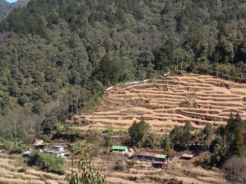 Vikram Pradhan - Developing strategies to Mitigate Human Wildlife ...