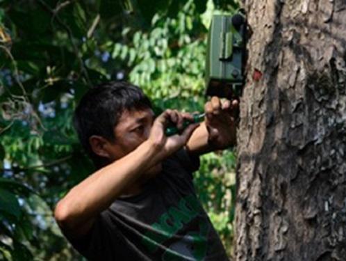 Tshering Dema - Collaborative Acoustic Monitoring of Critically ...