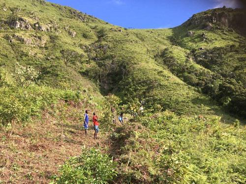 Michael Stuart Lyne Mills - Restoring Angola’s Threatened Afromontane ...