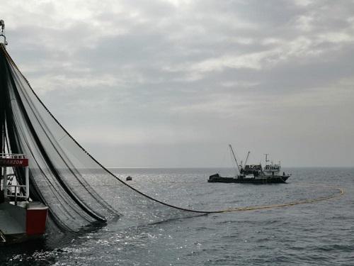 ismet saygu - A Future for Atlantic Bluefin Tuna: Depicting Migration ...