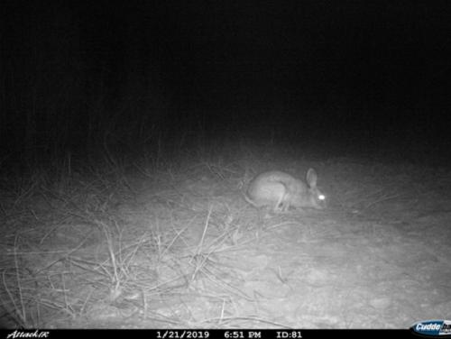 PRATICHHYA SHRESTHA - Baseline Information and Conservation Initiatives ...