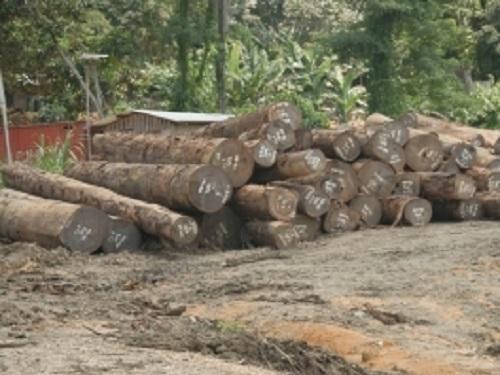 Olivier Hymas - When Logging Stops: Abandoned Roads Market Access ...