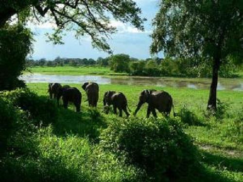 Rachel McRobb - Honorary Rangers Rapid Action Team, South Luangwa - The ...