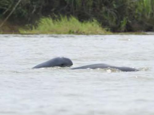 Danielle Kreb - Sustainable Management of Freshwater Protected Areas ...