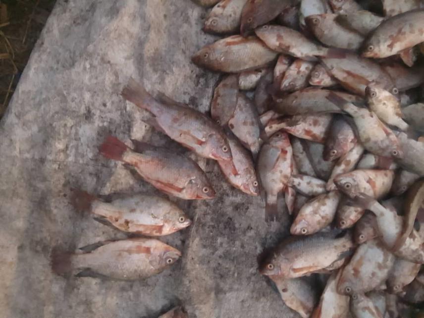 Happiness Anold - Community Sensitization and Mobilization for ...